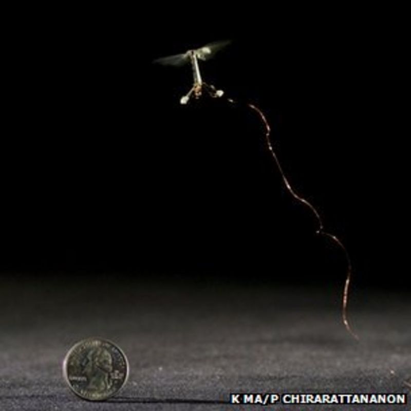 Robotic insect: World's smallest flying robot takes off - BBC News