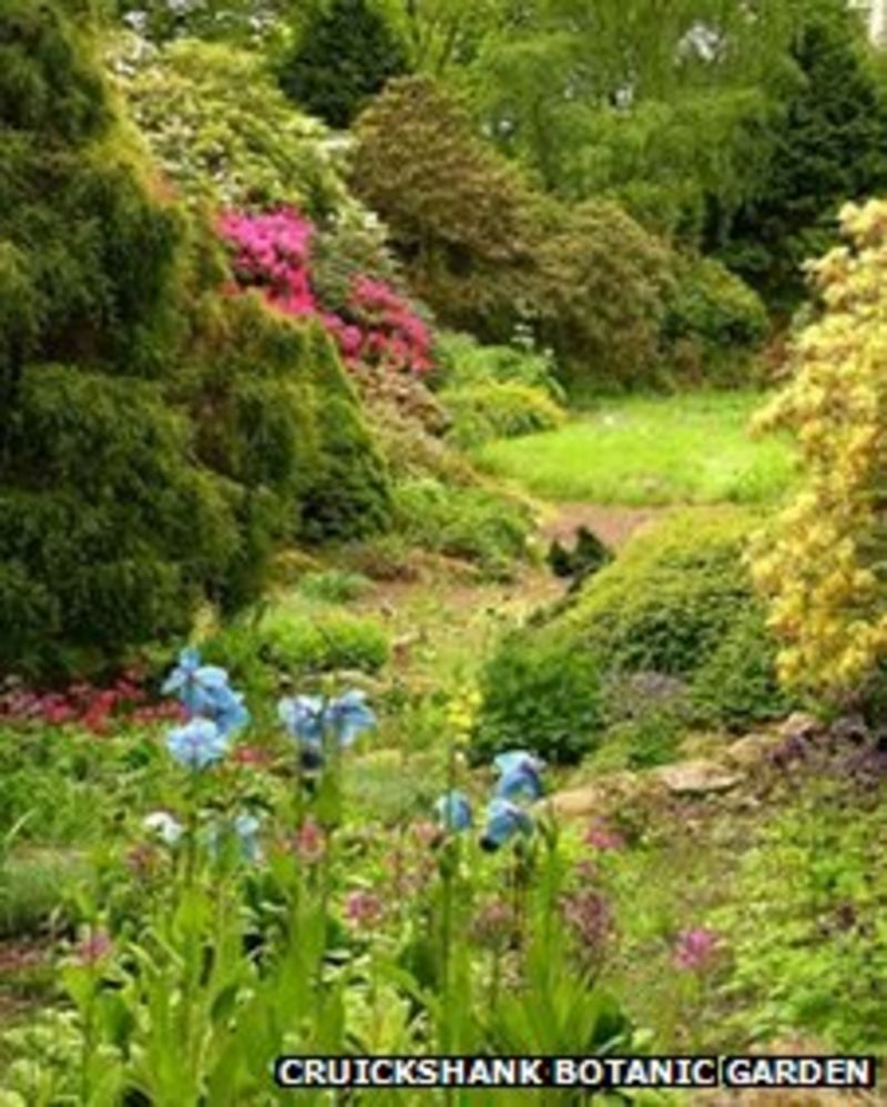 What are botanic gardens for? - BBC News
