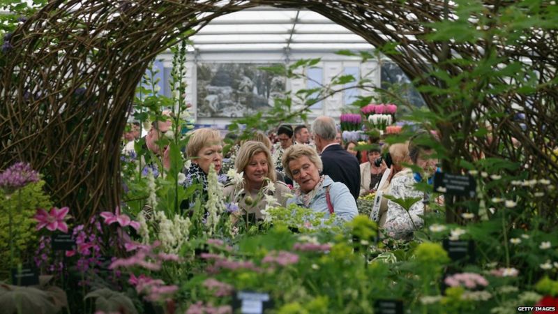 Chelsea Flower Show in pictures - BBC News