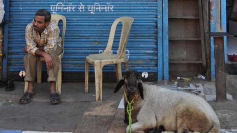 10 things you might not know about India - BBC News