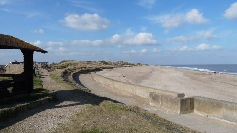 Sandilands golf course to become coastal bird haven - BBC News