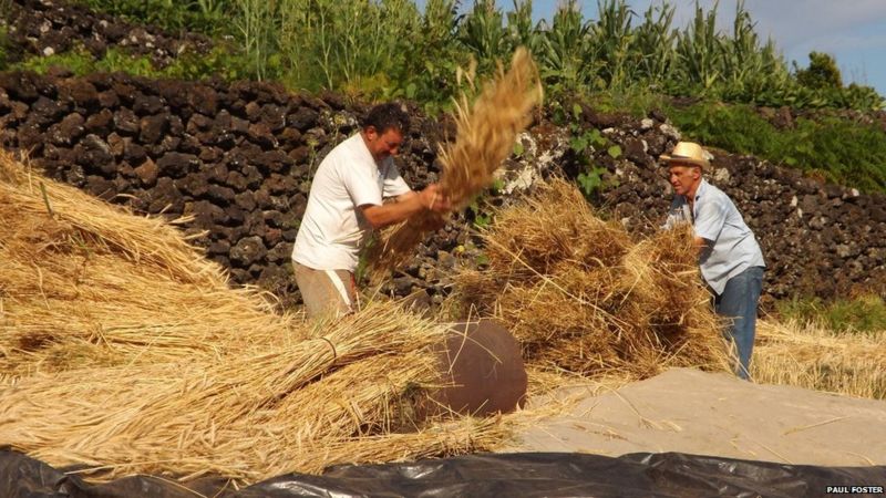 Your pictures: Rural life - BBC News