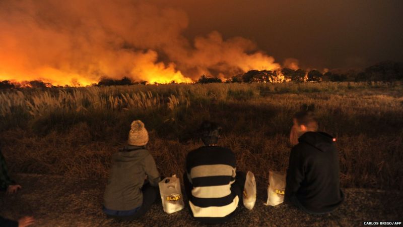 Day in pictures: 1 August 2013 - BBC News