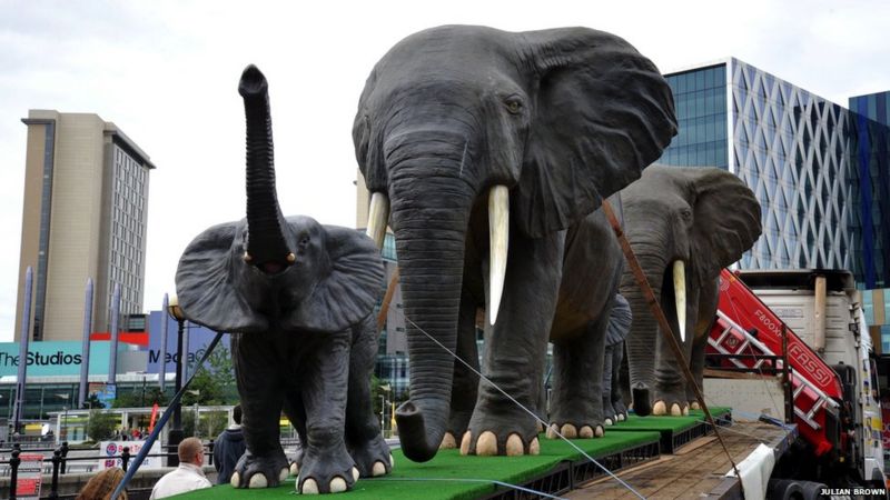 In Pictures: A jumbo tour to highlight plight of elephants - BBC News