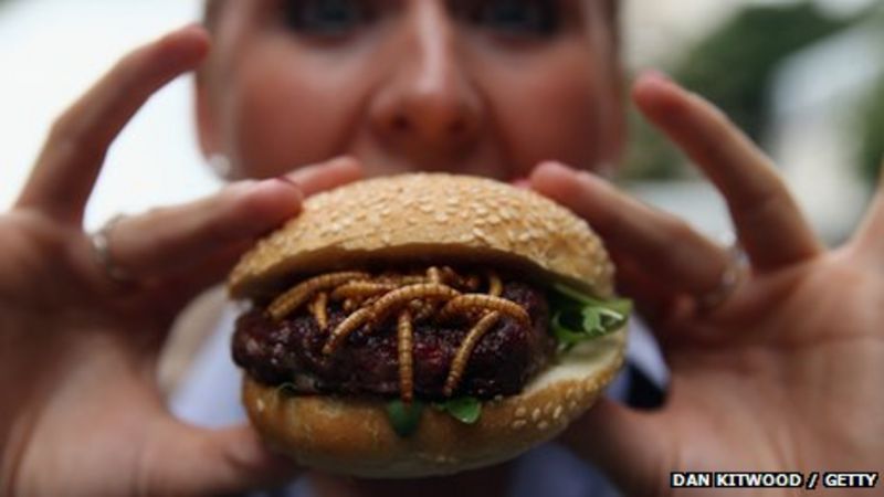 Insect diet: Fancy cricket risotto or mealworm cake? - BBC News