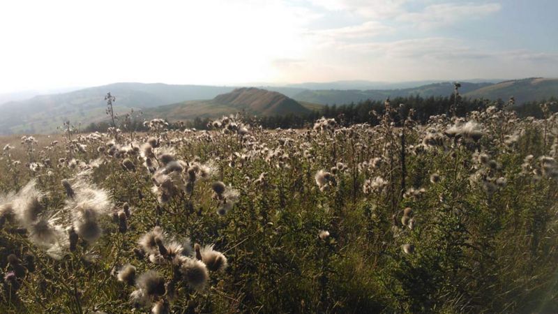 Your Pictures: Photos from Wales - BBC News