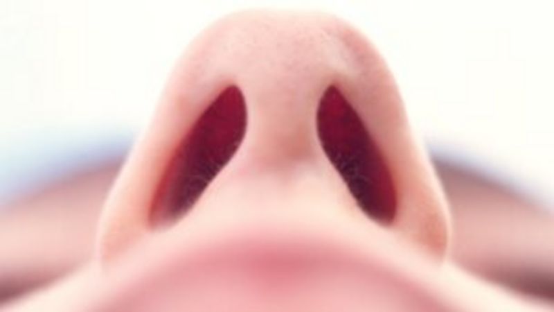 Humans sense 10 basic types of smell, scientists say - BBC News