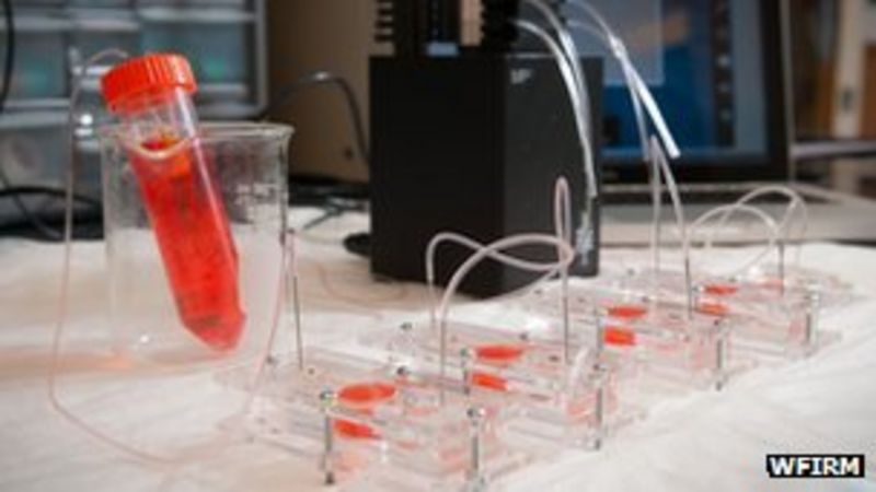 'Body on a chip' uses 3D printed organs to test vaccines - BBC News