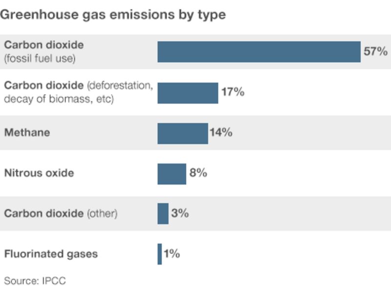 EPA chief doubts carbon dioxide's role in global warming - BBC News