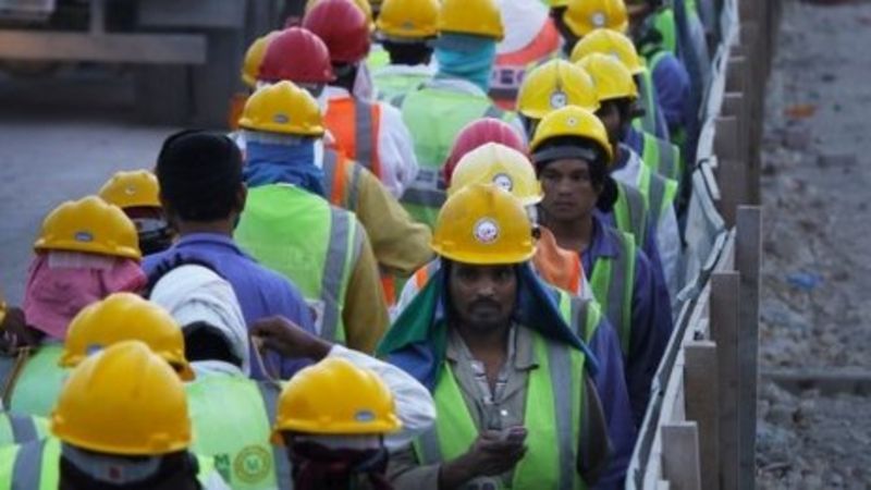 Qatar migrant workers 'treated like animals' - Amnesty - BBC News