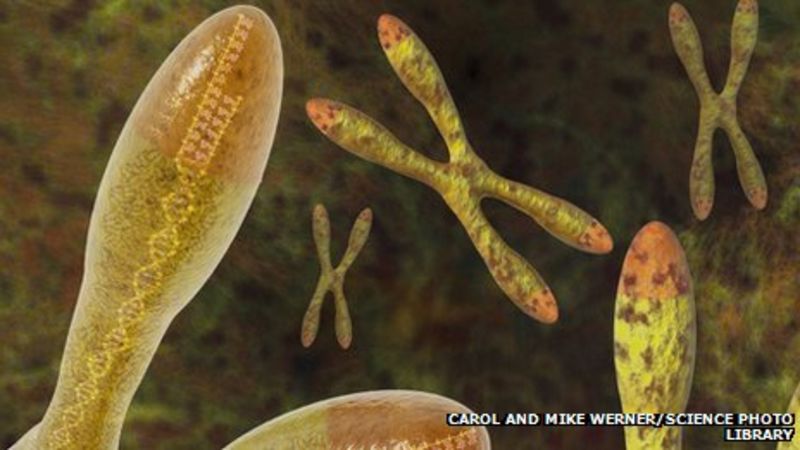 Depression 'makes us biologically older' - BBC News