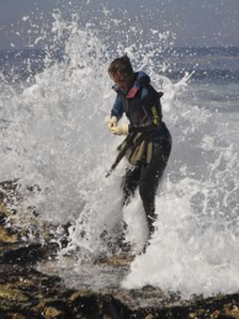 Scraping by on barnacles in Spain - BBC News