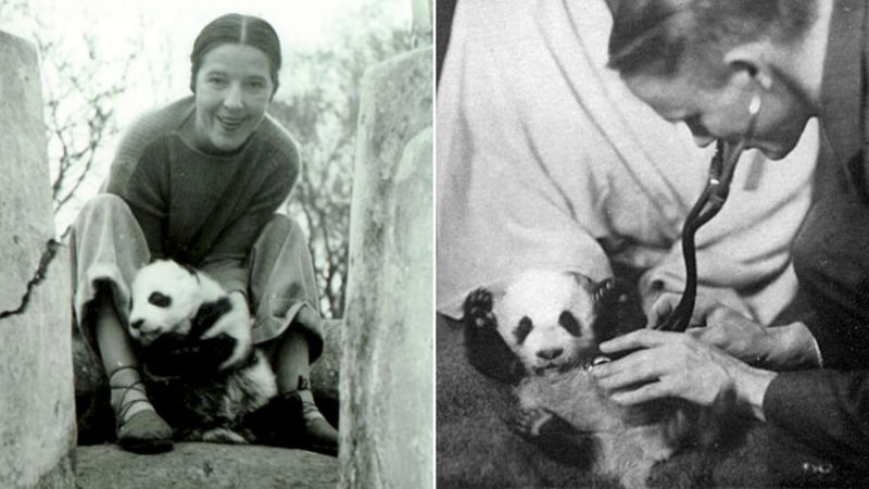 Ruth Harkness and Su Lin: The first panda to leave China - BBC News