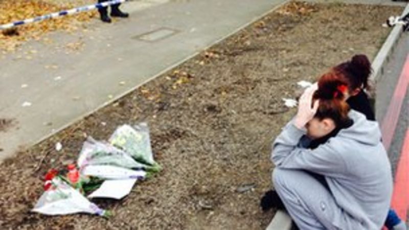 Teenager stabbed to death in Palmers Green - BBC News