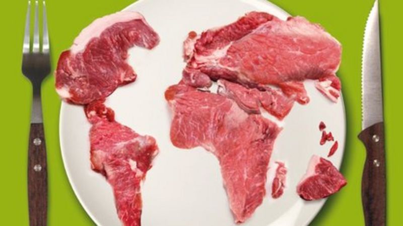 Can we justify killing animals for food? - BBC News