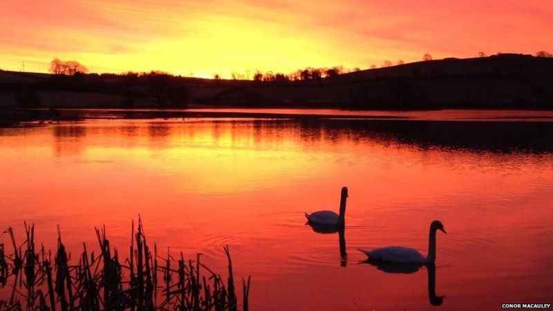 In pictures: Spectacular winter sunrises in Northern Ireland - BBC News