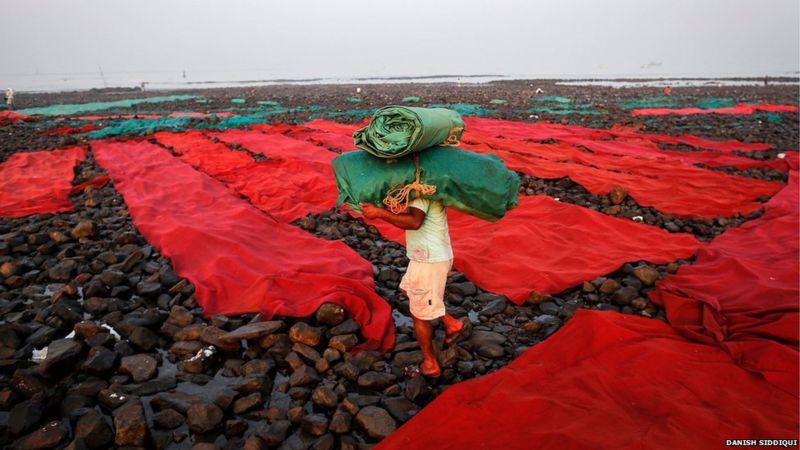 Day in pictures: 5 February 2014 - BBC News