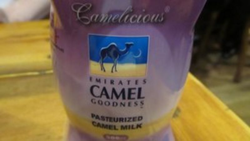 Camel milk coffee: What does it taste like? - BBC News