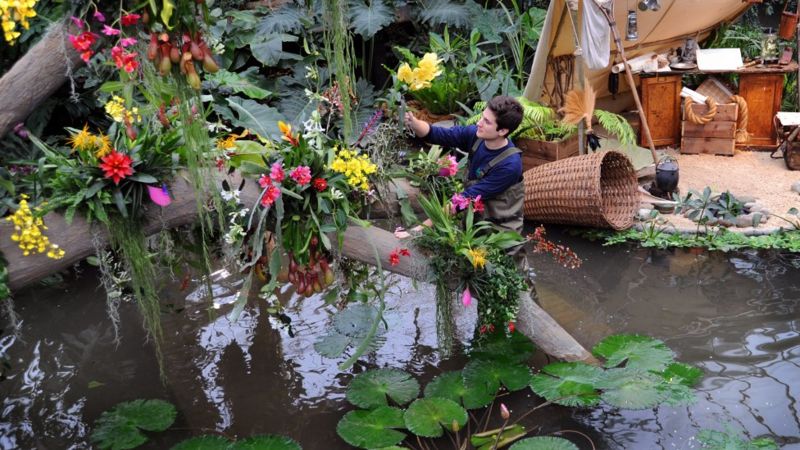 Orchids: Plant hunters' paradise at Kew - BBC News