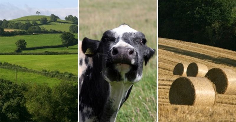 What are the Somerset Levels? - BBC News