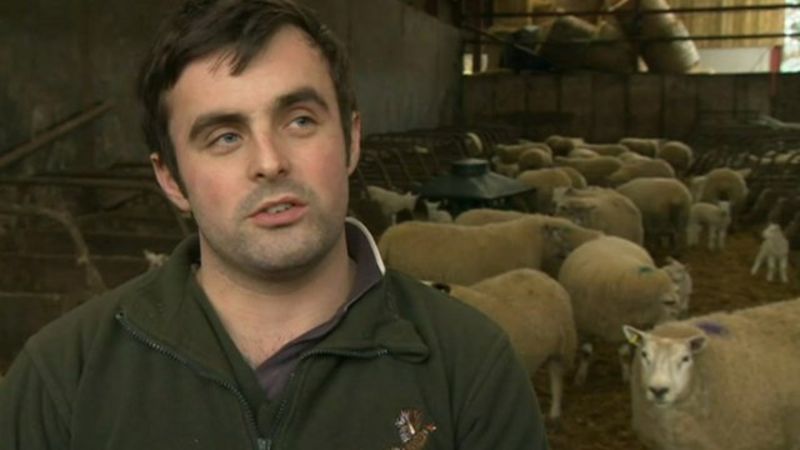 Sheep rustling and tool theft boost rural crime figures - BBC News