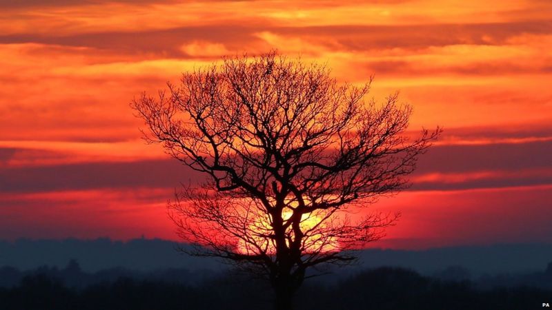 Parts of UK enjoy warmest day of the year so far - BBC News