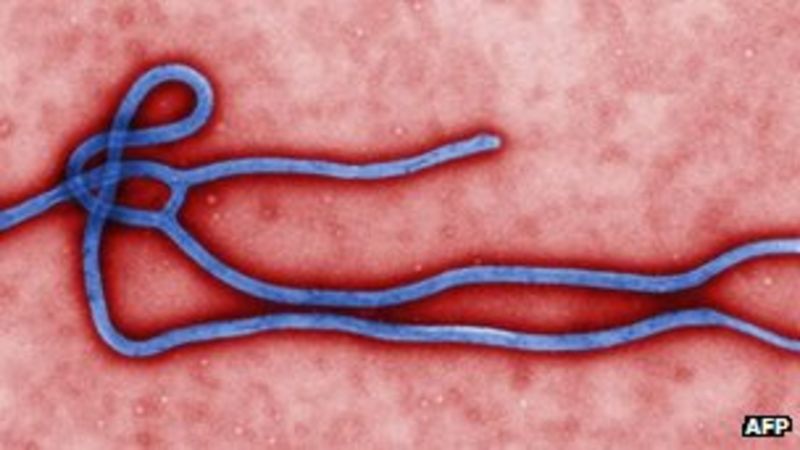 Canadian man in hospital tests negative for Ebola - BBC News