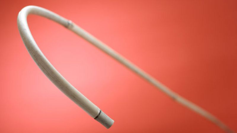 Malaysia's love for the cane is questioned - BBC News