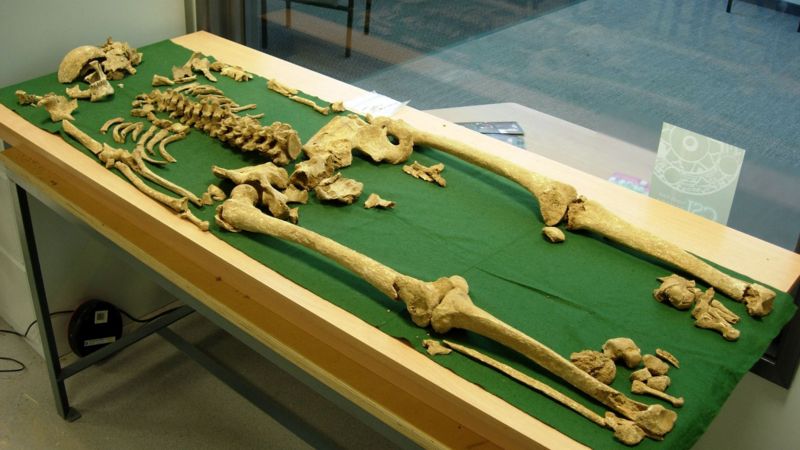 Chichester skeleton: Racton Man 'was warrior chief killed in battle ...