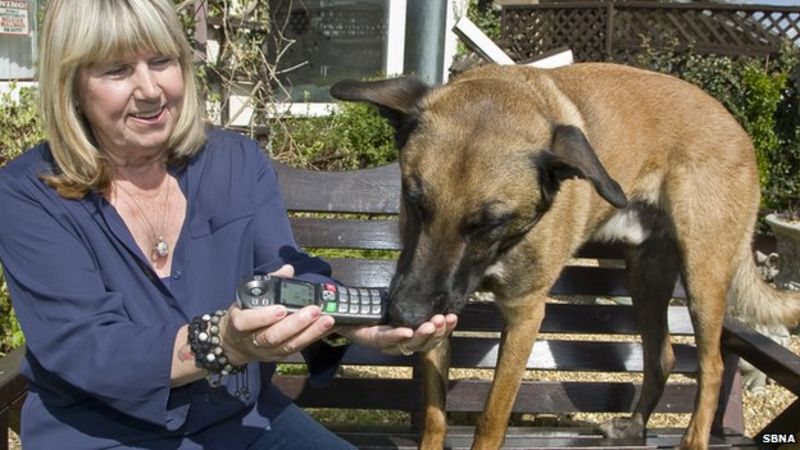 Dog calls Thames Valley Police after dialling 999 and 'breathing ...