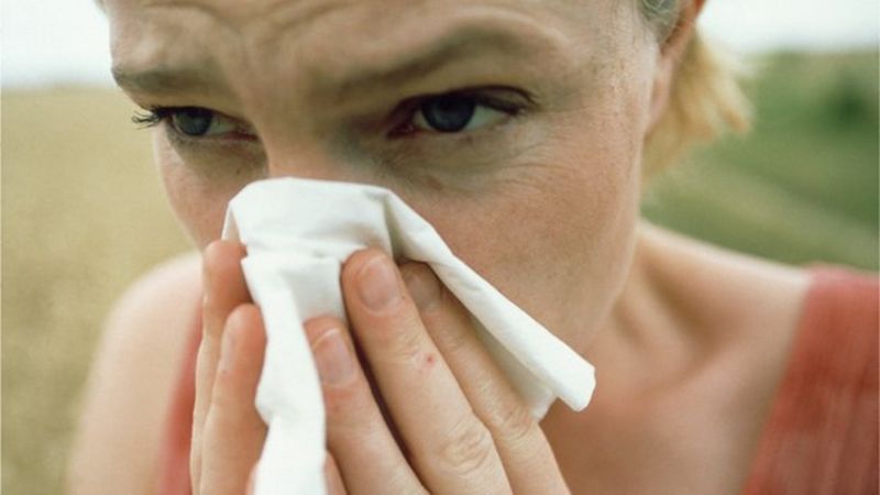 Mers: The mystery virus with no known cure - BBC News