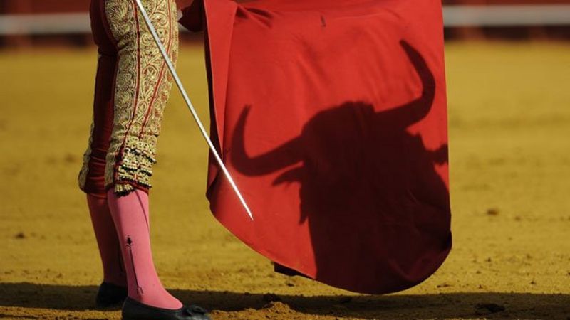 Mexican female bullfighter Karla de los Angeles gored - BBC News