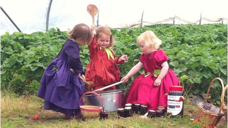 Quest for world's best jam launched at Jampionships - BBC News