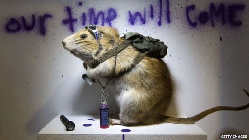 Banksy's gets mainstream showing off at Sotheby's - BBC News