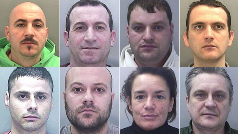 Gang jailed after 7,500 cannabis plants seized - BBC News