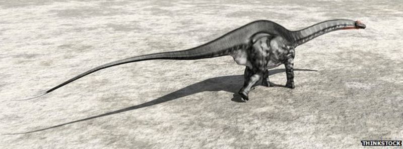 Dinosaurs 'neither warm nor cold blooded' - BBC News