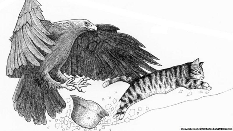 War stories: The making of new WW1 anthology - BBC News