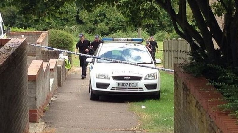 Colchester murders: Stabbing deaths 'could be linked' - BBC News