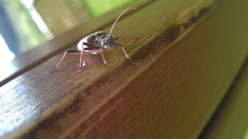 Your pictures of Scotland: 20 - 27 June - BBC News