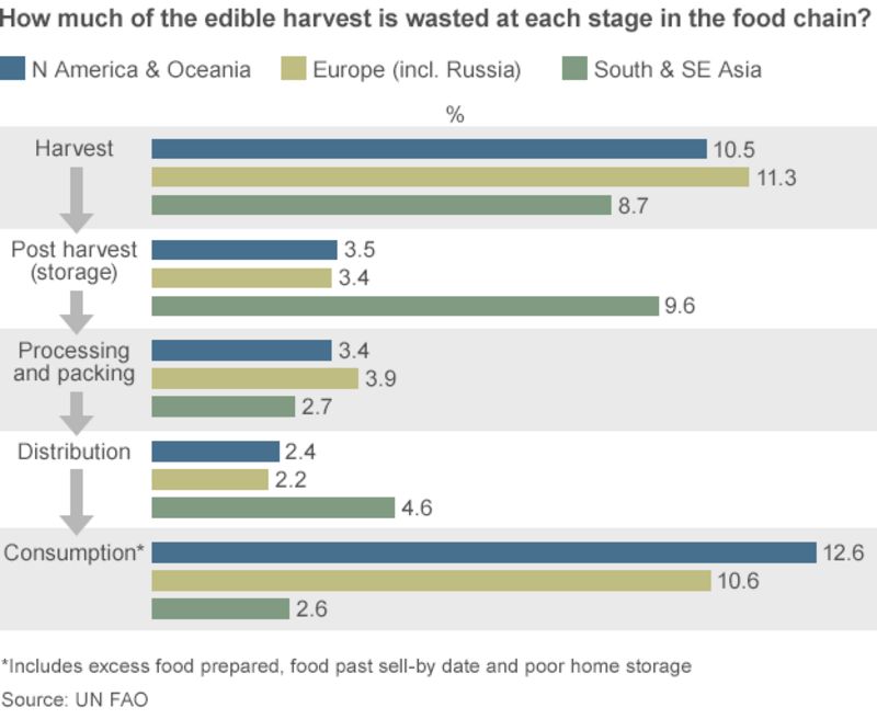 Food waste reduction could help feed world's starving - BBC News