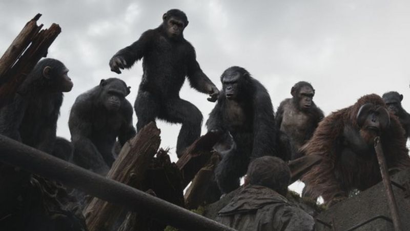 Apes actors worthy of awards, director argues - BBC News