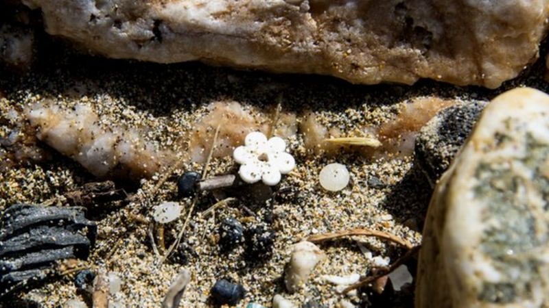 The Cornish beaches where Lego keeps washing up - BBC News