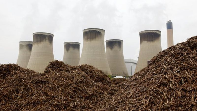 Concerns over carbon emissions from burning wood - BBC News