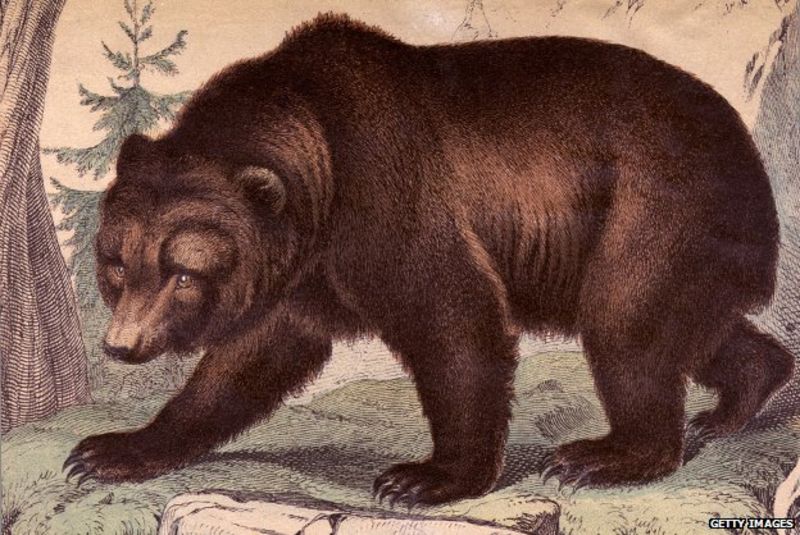 Victorian Strangeness: Seven singular sports from the Victorian era ...