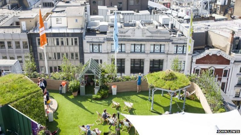 Up on the roof: Is London moving its gardens to the sky? - BBC News