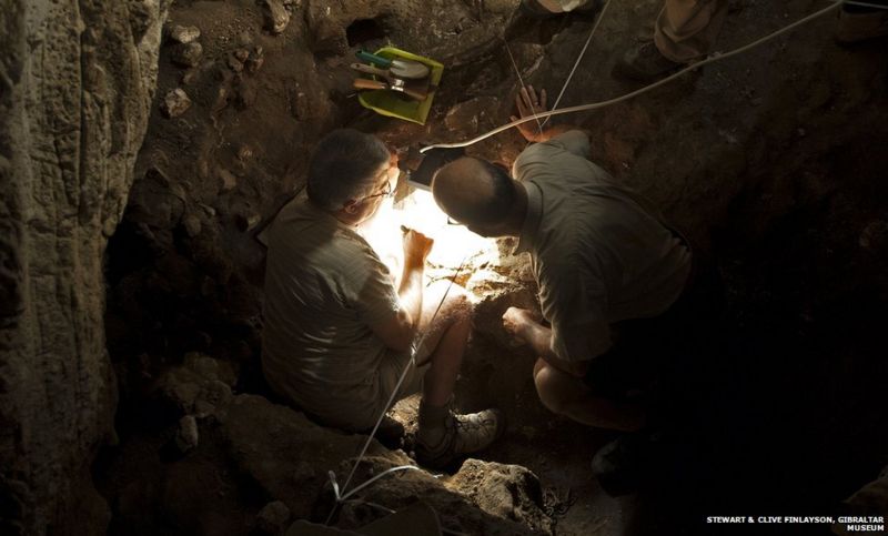 Neanderthal 'artwork' found in Gibraltar cave - BBC News