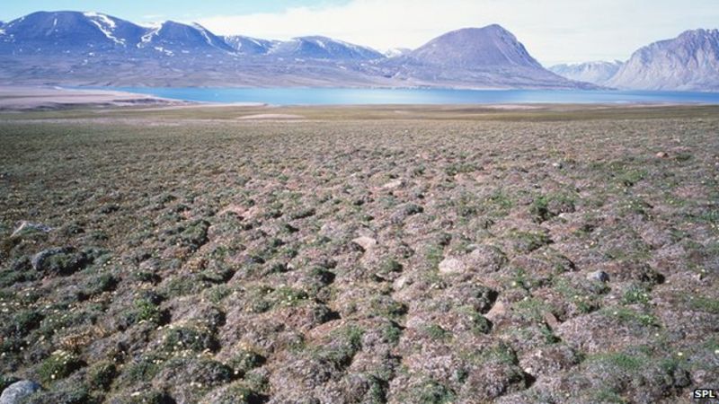 Warning over vulnerability of soil carbon to warming - BBC News