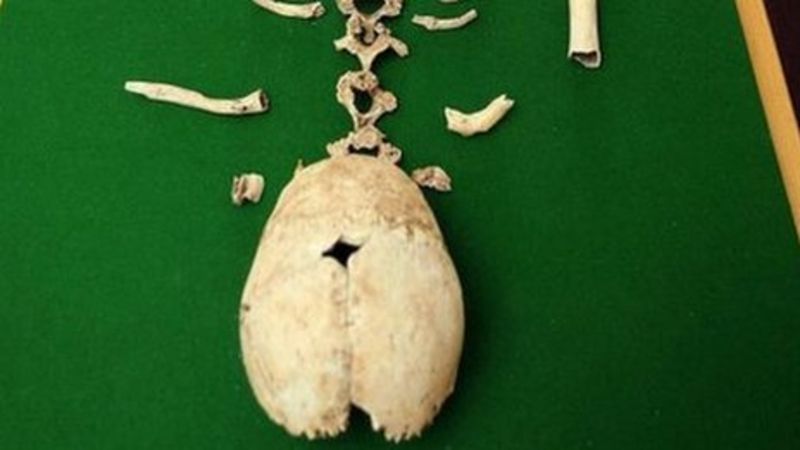 Llandudno Stone Age skeleton Blodwen returns home - BBC News