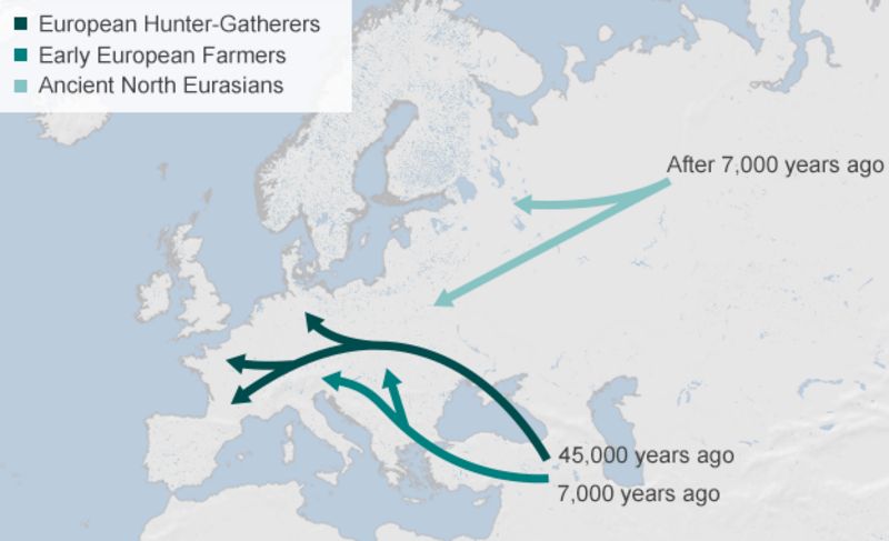 Europeans drawn from three ancient 'tribes' - BBC News