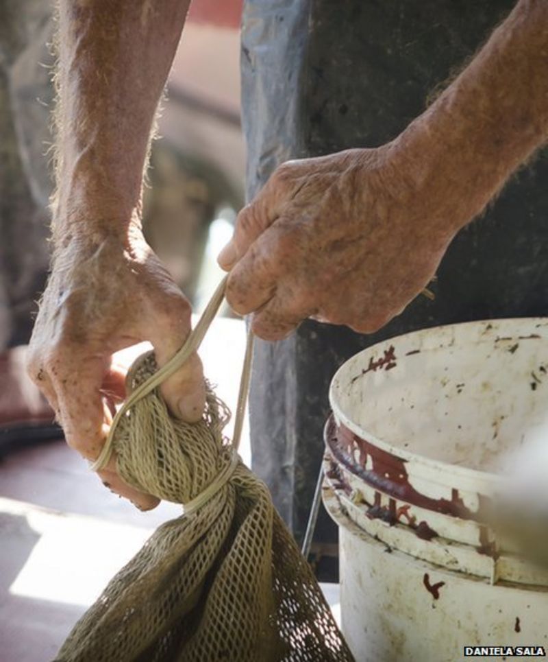 The last eel catcher of Rome - BBC News